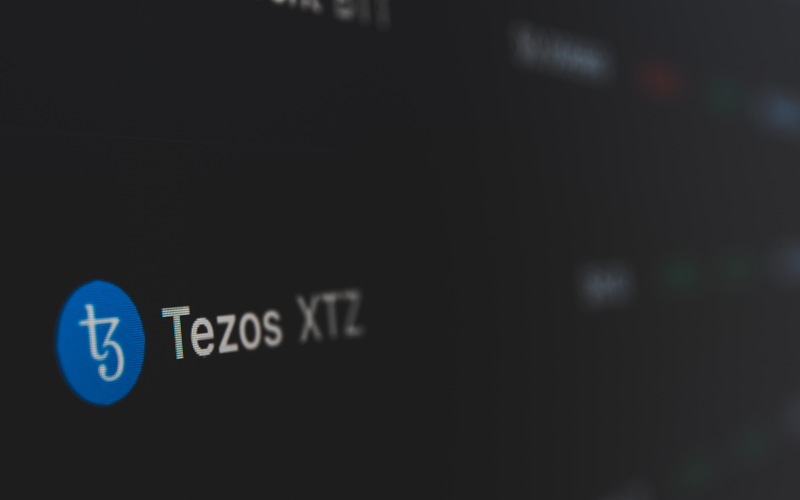 fxhash Is Wholesome (and Art Is Moving)